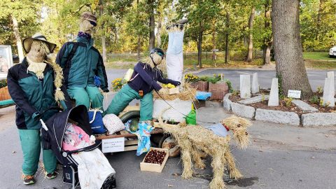 Startseite | Freizeitpark Germendorf