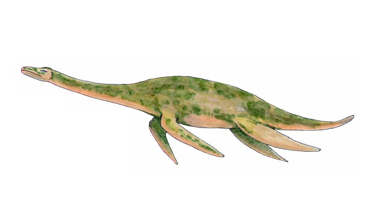 Cryptoclidus | Freizeitpark Germendorf