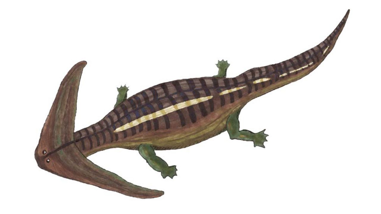 Diplocaulus | Freizeitpark Germendorf