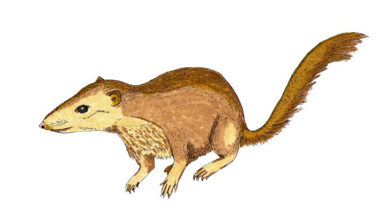 Purgatorius | Freizeitpark Germendorf