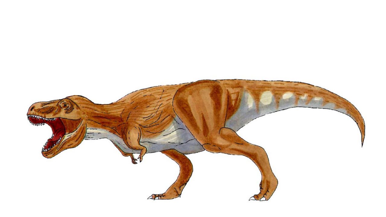 T-Rex | Freizeitpark Germendorf