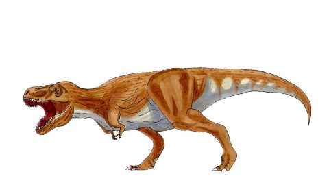 T-Rex | Freizeitpark Germendorf