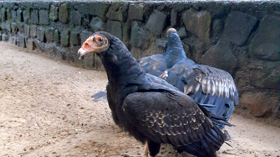 Startseite | Freizeitpark Germendorf