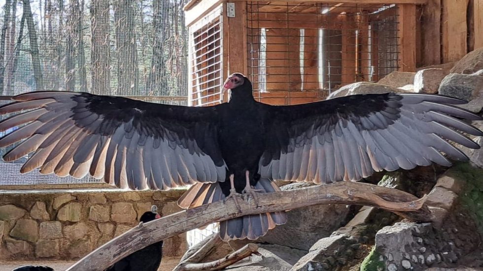 Startseite | Freizeitpark Germendorf