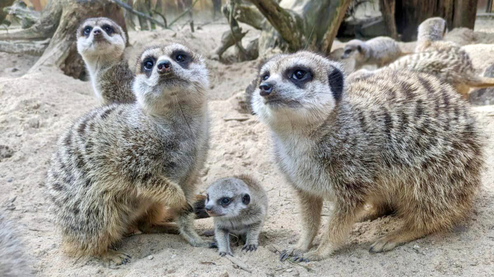 Startseite | Freizeitpark Germendorf