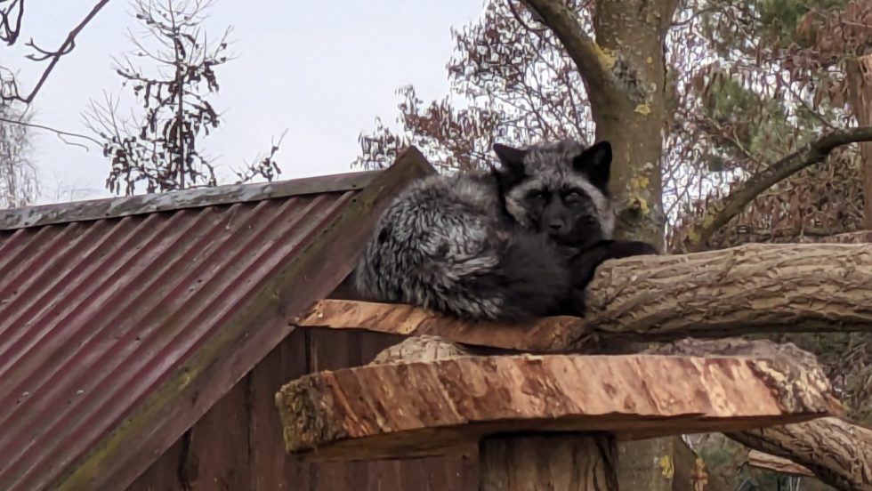 Startseite | Freizeitpark Germendorf