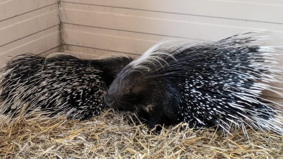 Startseite | Freizeitpark Germendorf