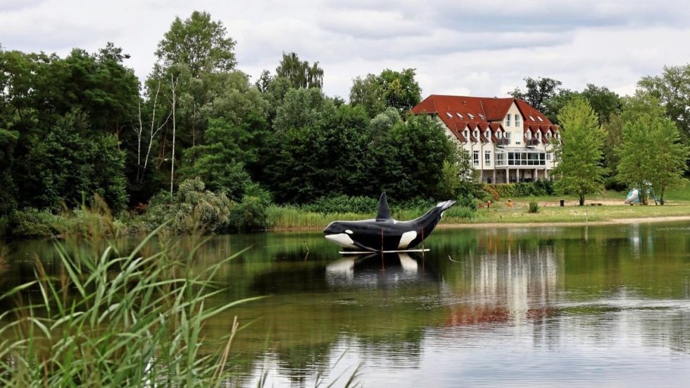 Startseite | Freizeitpark Germendorf