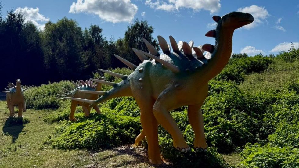 Startseite | Freizeitpark Germendorf